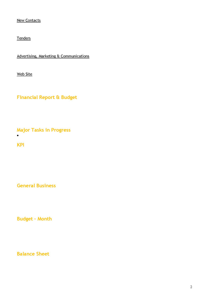 Meetings CEO Template – docushop